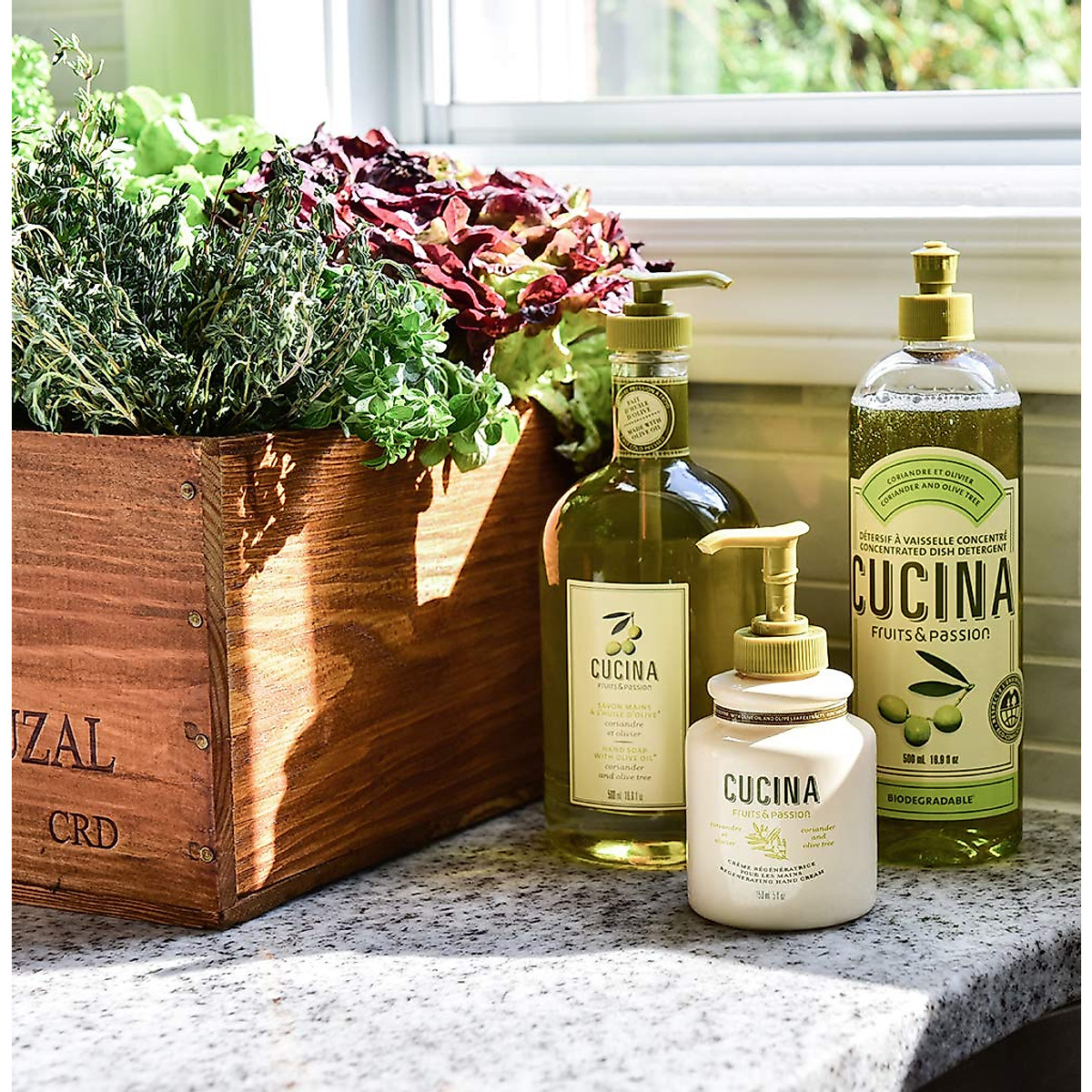 Fruits & Passion [Cucina] - Hand Care Duo Caddy Gift Set | Liquid Hand Soap Wash (5.1 oz) with Hand Cream Lotion (6.8 oz) (Coriander & Olive)