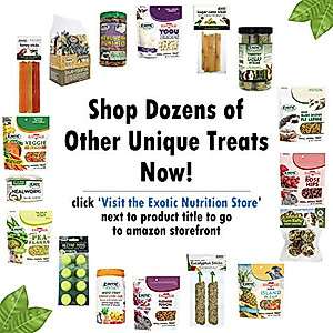 Flower Fusion Treat (8 oz.) - Healthy Natural Dried Flower Herbivore Treat - Chinchillas, Guinea Pigs, Rabbits, Prairie Dogs, Degus, Hamsters, Rats, Squirrels, Sugar Gliders & Other Small Pets