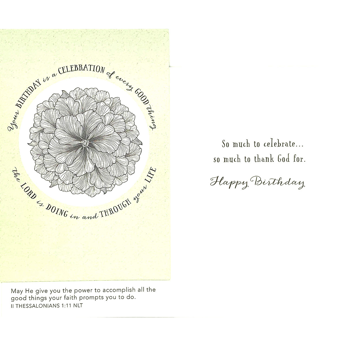 DaySpring - Black & White Birthday Botanicals - 4 Design Assortment with Scripture - 12 Boxed Cards & Envelopes (J0384)