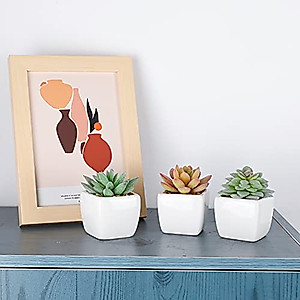 FUNARTY 5pcs Artificial Succulent Plants in White Ceramic Pots, Fake Small Fake Plants, Faux Mini Succulents Plants Indoor for Desk Living Room Bedroom Windowsills Office Home Decoration