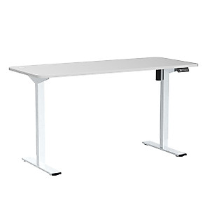 Furmax Electric Height Adjustable Standing Desk Large 55 x 24 Inches Sit Stand up Desk Home Office Computer Desk Memory Preset with T-Shaped Metal Bracket, White