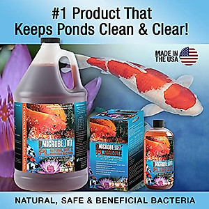 MICROBE-LIFT PL Pond Bacteria and Outdoor Water Garden Cleaner, Safe for Live Koi Fish, Plant Life, and Decor (1 Gallon)