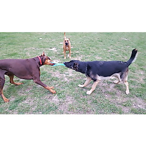 DentapupⓇ Dental Dog Toy Cleaning Teething Chew Ring with Teeth for Medium to Large Breed Dogs - Tartar & Plaque Remover, Gum Massager & Mouth Cleaner for Fresh Breath, Made in USA - Pink