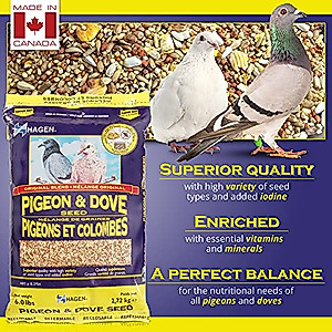 Hagen Pigeon & Dove Seed, Nutritionally Complete Bird Food, original version, 6 Pound (Pack of 1) (B2704)