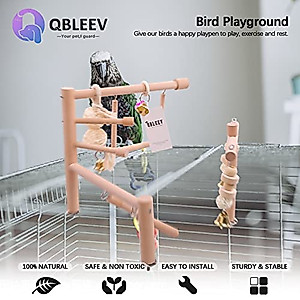QBLEEV Bird Cage Play Stand Toy Set-Birdcage Wood Stands Hanging Chew Toys Ladder Swing Parrot Perch Play Gym Playground Accessories Activity Center for Conure, Parakeets, Budgie, Cockatiels,Lovebirds
