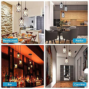 DFL Industrial Glass Pendant Light, 3-Light Black Metal Polished Glass Cover Chandelier, Pendant Light Fixture for Restaurants, Kitchens, Bars, Hallways, Galleries, E26 Base, Bulb Not Included