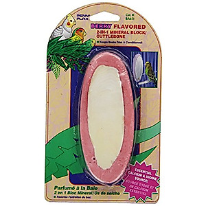 Penn-Plax 2-in-1 Mineral Block and Cuttlebone, Berry Flavored, 5-Inch