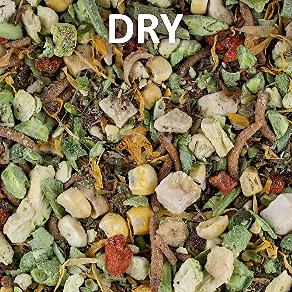 Healthy Herp Instant Meal Juvenile Dragon Food Variety Pack (7 x Juvenile Dragon Food, 4 x Fruit Mix, 3 x Vegi Mix, and 1 X Feeding Dish)