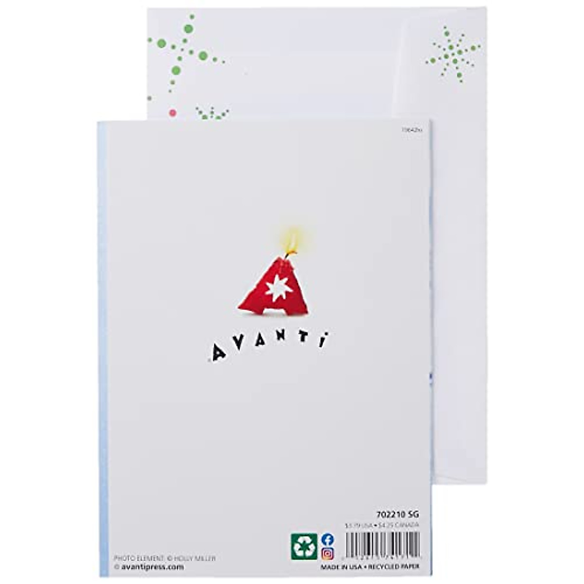 Avanti 10-Count Christmas Cards, Little Squirrel with a Candle