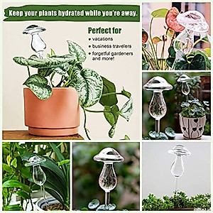 Kingbuy Self Watering Globes Plant Waterer Device Mushroom Shape Hand Blown Clear Glass Bulb for Indoor Outdoor Plants, 4 Pack
