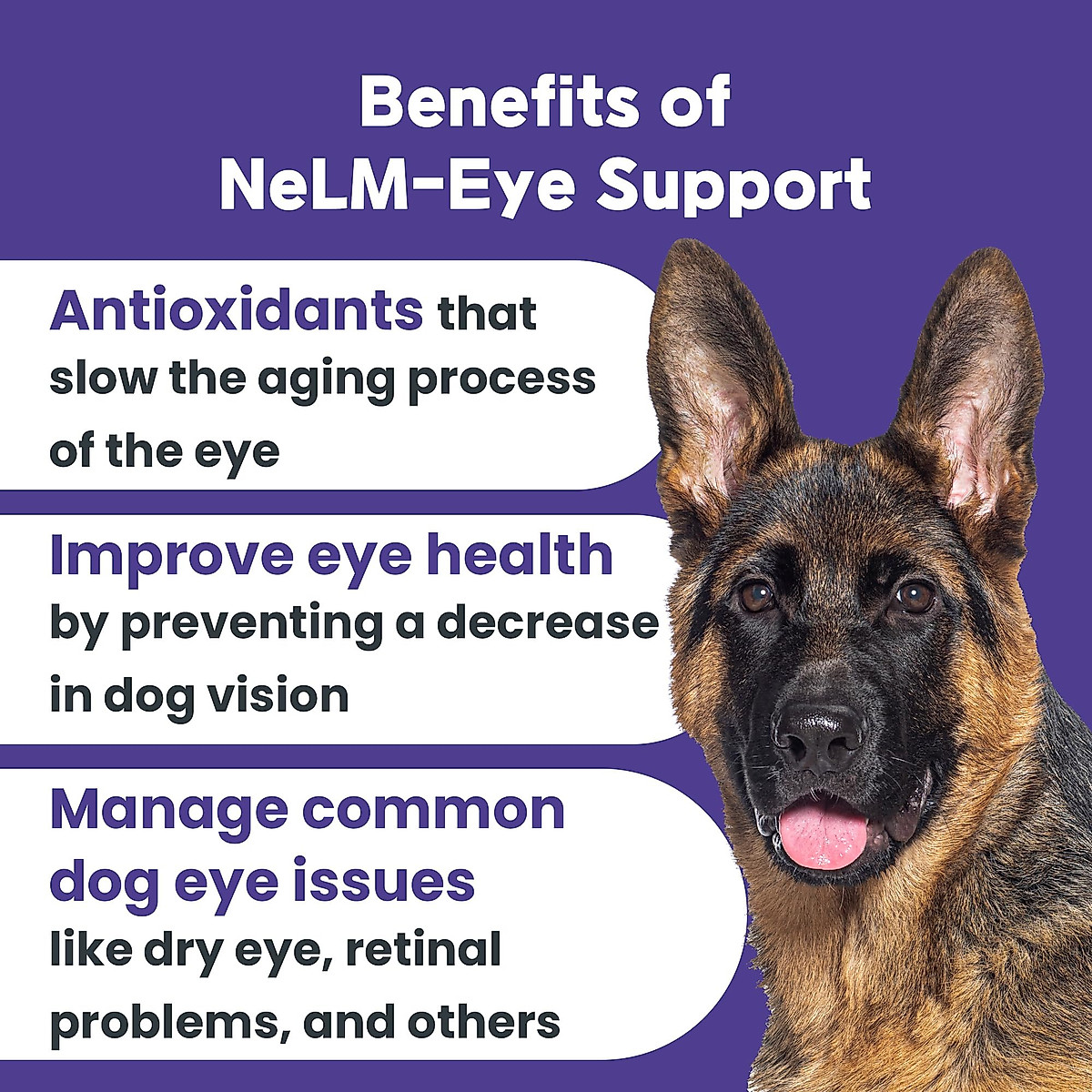 Mepet Eye Support for Dogs - Mouth Dissolving Strips, Eye Care and Vision Supplement - Antioxidants, Lutein, Beta-Carotene, Vitamin C & E for Eye Infection - Pet Health Supplies - Beef, 30 Strips