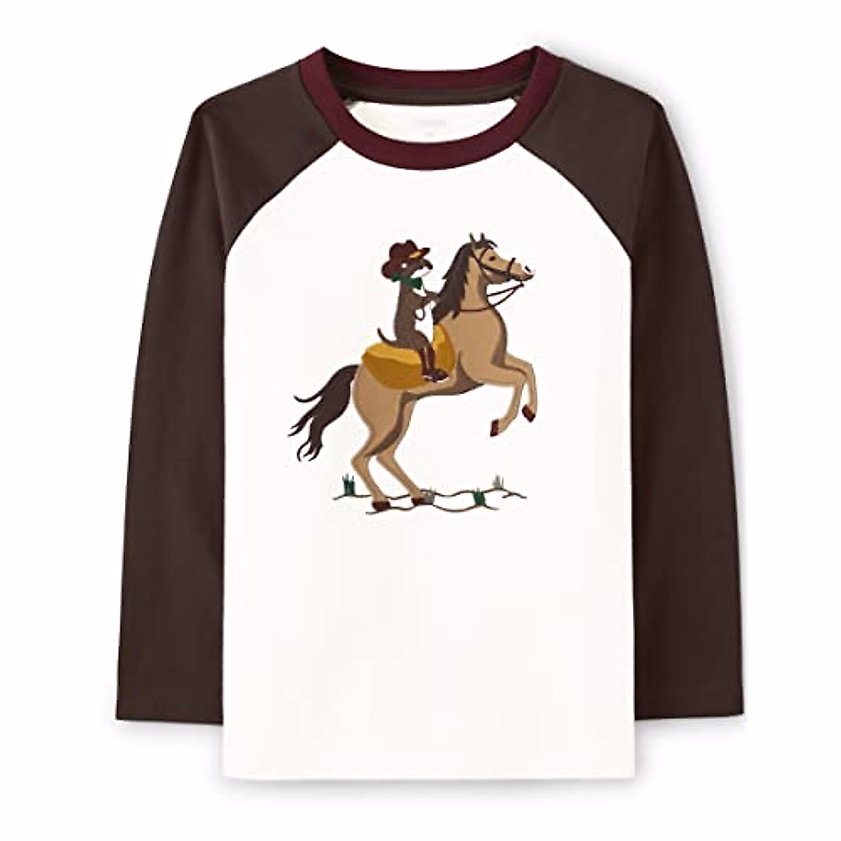 Gymboree Boys and Toddler Embroidered Graphic Long Sleeve Raglan T-Shirts, County Horse, 5T
