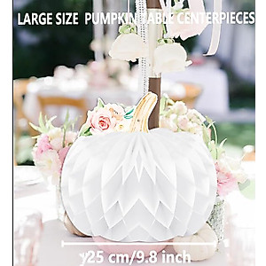 Fall Honeycomb Pumpkin Centerpiece for Table,Little Pumpkin Baby Shower Decorations for Girl Boy,10 Inch Paper Hanging Pumpkin Decorations for Thanksgiving Halloween,W A Little Pumpkin is On Her Way