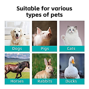 MANON ROSA Red Infrared Light Therapy Belt Pets: Portable Wearable Device for Tissue Repair Relieving Sciatica Joint Back Pain in Small Medium Large Dogs Cats (Small,60 Lamp Beads)