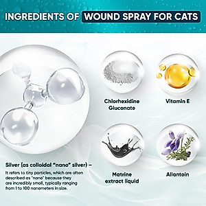 LeAcademic Cat Wound Spray | Wound Spray for Cats | Cat Wound Care Spray | Chlorhexidine for Cats | Wound Care Spray | Pet Wound Care for Cats | 4 Oz