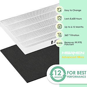 AM200 Set Compatible with Fellowes Aeramax 200 HEPA Filter Replacement for Air Purifier Aera Max 190 200 DX55 Part# 9287101 9324101 AeraSafe, Includes 2 True HEPA & 6 Extra Carbon Activated Pre-Filter