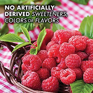 Bluebonnet Nutrition Earth Sweet Vitamin B12 & Folic Acid Chewable Tablets, Cream Raspberry 180 Count (Pack of 1)