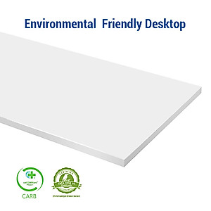 FLEXISPOT EC3 Dual Motor Electric Standing Desk 55x28 Inch Seamless Solid Slab Stand Up Desk Sturdy Electric Adjustable Desk Home Office Desk Electric Computer Workstation, White Frame, White Desktop