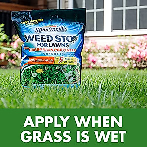 Spectracide Weed Killer, 10.8 lb, Clear