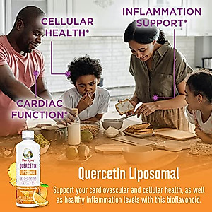 Quercetin | Sugar Free | Liquid Quercetin 500mg Immune Support for Adults | Inflammation Support Supplement | Immune Defense | Cellular Health | Vegan | Non-GMO | Gluten Free | 15.22 Fl Oz