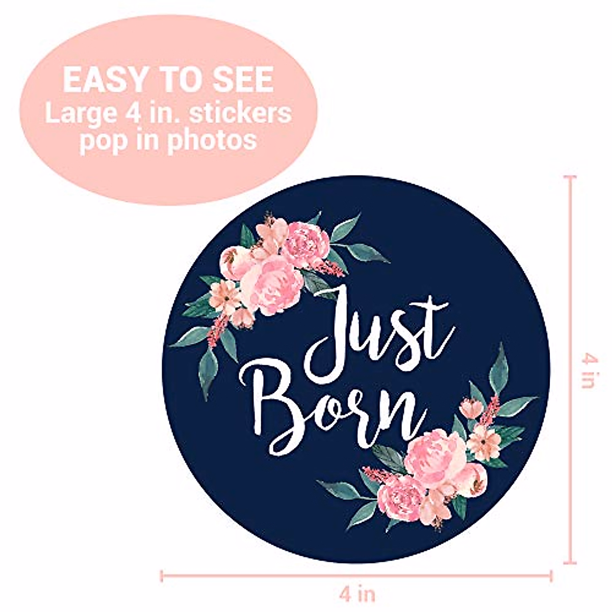 Baby Monthly Stickers | Floral Baby Milestone Stickers | Newborn Girl Stickers | Month Stickers for Baby Girl | Baby Girl Stickers | Newborn Monthly Milestone Stickers (Set of 24)