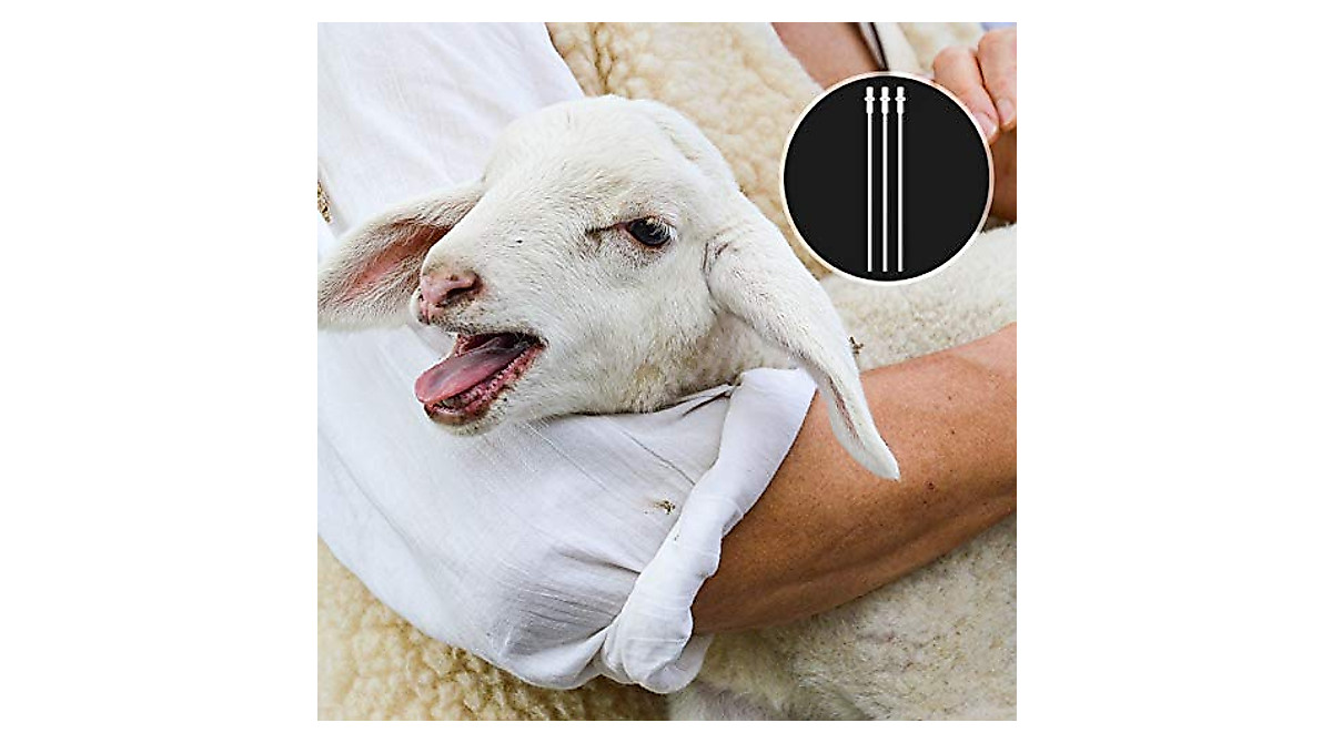 Weewooday 30 Disposable Artificial Insemination Rods