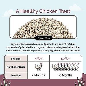 Mile Four | Oyster Shell | Calcium Supplement for Chickens | Natural Crushed Limestone Calcium Carbonate | Eggshell & Bone Booster for Laying Hens | US Mined | 4 lbs.