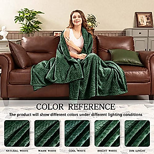 inhand Fleece Throw Blankets, Super Soft Flannel Cozy Blankets for Adults, Washable Lightweight Fuzzy Blanket for Couch Sofa Bed Office, Throw Size Warm Plush Blankets for All Season (50"×60", Green)