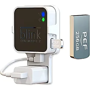 256GB Blink USB Flash Drive for Local Video Storage and The Outlet Mount for Blink Sync Module 2(Blink Add-On Sync Module 2 Itself is NOT Included)