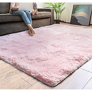 RUG BRANCH Super Soft Plain Plush Shag Pink Indoor Area Rug for Living Room, Bedroom, Dining Room, and Kitchen - 4' x 6' (4' X 5'3")