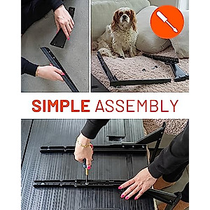 ECHOGEAR Replacement TV Stand for Screens Up to 65" - Foldable TV Bracket Includes Hardware, Anti-Slip & Anti-Scratch Pads - Easy 3-Step Install TV Feet w/Wide VESA Compatibility