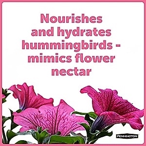 Pennington Electronectar Hummingbird Food Ready to Use Clear 64 ounces (Pack of 1)