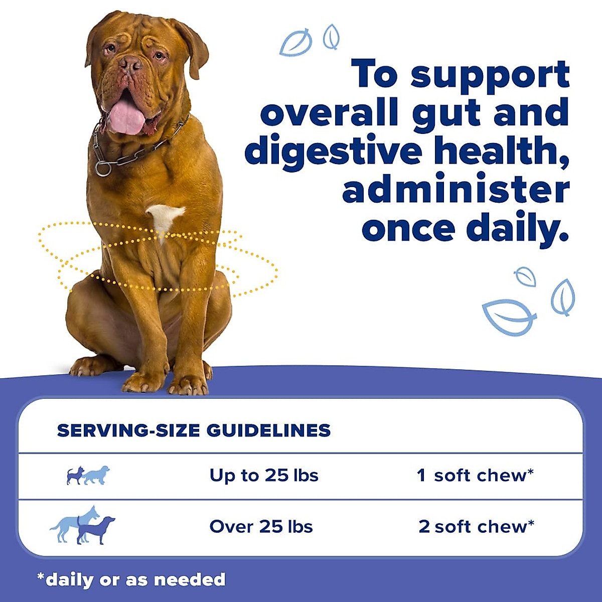 Okoa Pet Belly Boost Probiotic Soft Chews for Dogs - Vet Formulated for Gut Health, Digestion, Allergy Relief, & Immune System Support - Smoked Pumpkin & Sweet Potato Flavor - for All Breeds & Sizes