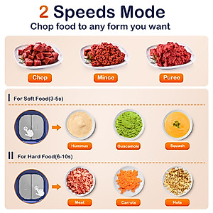 KOIOS 500W Powerful Electric Food Processor with 8 Cup Stainless Steel & Glass Bowls, 2 Speed Mode Electric Food Chopper with 2 Sets Blades Electric Meat Grinder Chopper for Family & Baby Use