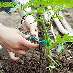 feitengda PVC Garden Tie Tape Stretch Tie Tape, Reusable Plant Ties Tapes Plant Ribbon Vinyl for Indoor Outdoor Patio Plant 2 Rolls 147 Feet