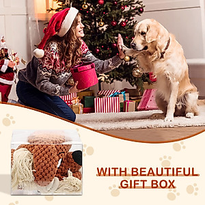 Letsmeet Dog Toys,Squeaky Dog Chew Toy with Crinkle Paper,Interactive Tough Plush Rope Toys for Small Medium Large Dogs with Gift Boxes