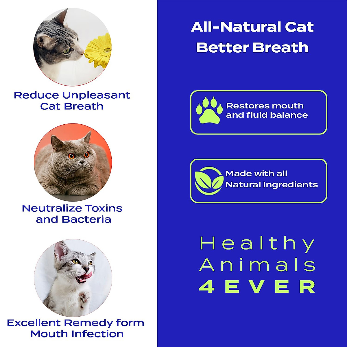 HealthyAnimals4Ever Bad Breath for Cats Pellets - Dissolvable - No Brushing - for Clean Teeth, Plaque & Tartar Control - All-Natural, Non-GMO, Organic - Preservative & Chemical Free - 300 ct