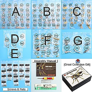 MHWTTY 3D Metal Puzzles for Adults Model Kits: DIY Build Mechanical Wasp Metal Assembly Toy Steel Jigsaw Brain Teaser Puzzle for Men (Rose Gold-Wasp Metal Puzzle)