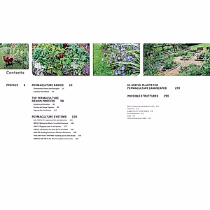 Practical Permaculture: for Home Landscapes, Your Community, and the Whole Earth