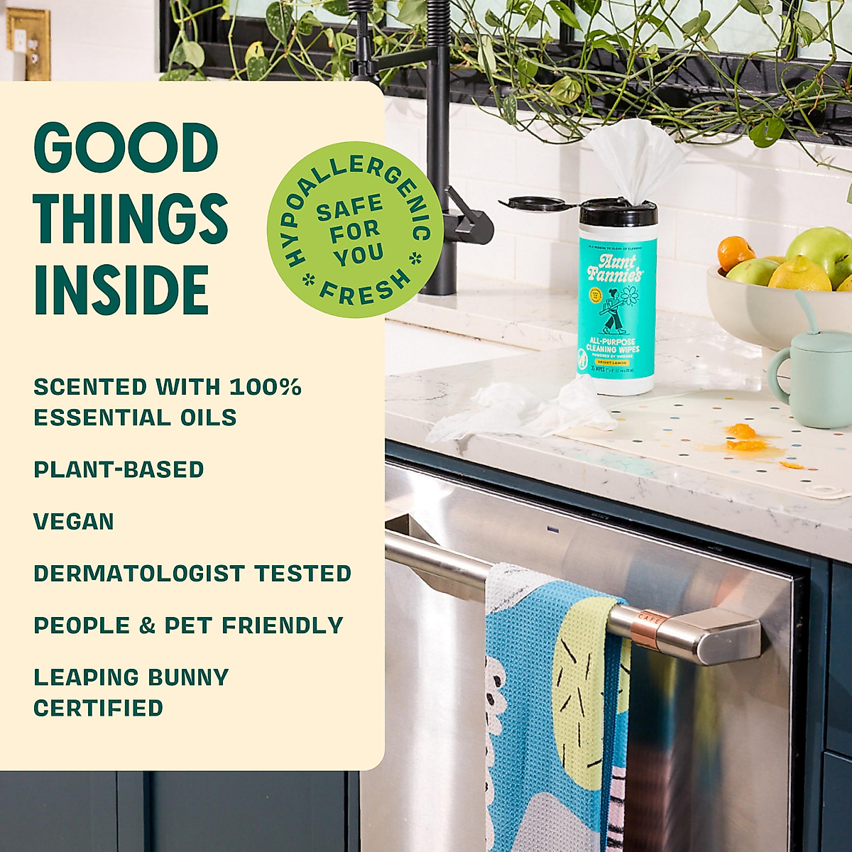 Aunt Fannie's Natural Cleaning Vinegar Wipes, Multipurpose Surface Cleaner, Eucalyptus Scent, 35 Count (Pack of 1), Packaging May Vary