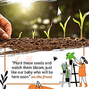 BENTLEY SEED CO. Oh Baby Flower Seeds Packets - Girl/Boy Baby Shower Favors - Pre-Filled, 25 Wildflower Seed Packs for Favor - Eco-Friendly Gift & Babys Guest Giveaways - Non-GMO Seeds - Brown Envelop