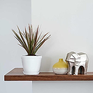 Sierra Concepts Flower Plant Pots for Planters 6 Inch - Set of 6 Plastic Planter Pot Modern Indoor Outdoor for Small Planting, Succulent Plants, Nursery, Orchid, House, Office Décor, Gardening, White