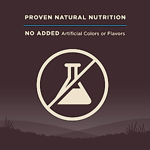 Wellness CORE Wholesome Grains Ocean Recipe, 22 Pound Bag