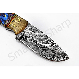 Smart & Sharp Custom Handmade Damascus Steel Hunting Knife/Skinning Knife AA-17216, 17217, 17218, 17219, 17220 and 17221 (Multi Color Resin)