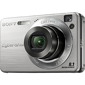 Sony Cyber-shot DSC-W130 8.1MP Digital Camera with 4x Optical Zoom with Super Steady Shot (Silver)