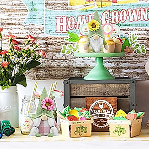 Godeufe Set of 2 Summer Gnomes Plush Flowers Spring Decorations Gift Handmade Elf Dwarf Figurines for Home Kitchen Farmhouse Tiered Tray Holiday Festival Party Scandinavian Tomte (Green)