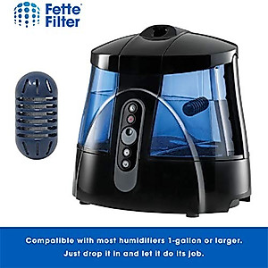 Fette Filter - Ultrasonic Demineralization Humidifier Replacement Cartridges Filters Mineral Deposits, Purifies Water, Eliminates White Dust, Removes Odor, Compatible with HoMedics - Pack of 10