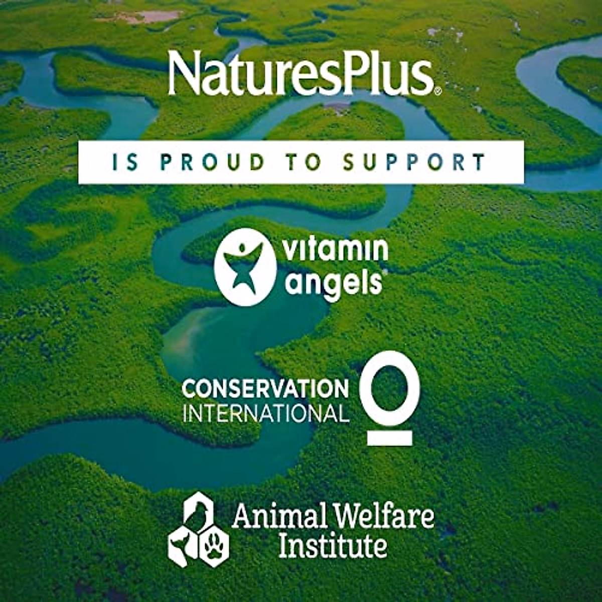 NaturesPlus Source of Life Garden Certified Organic Vitamin K2-120 mcg, 60 Vegan Capsules - Bone Health Supplement - with Natural Whole Food Enzymes - Vegetarian, Gluten-Free - 60 Servings