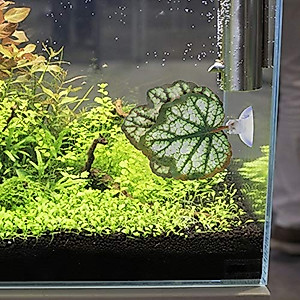iplusmile Betta Fish Leaf Hammock- 2Pcs Aquarium Betta Fish Leaf Pad Fish Tank Resting Leaf with Suction Cups Hammock Breeding Bed for Beta Tank Decorations Green