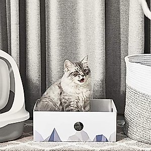 Conlun Cat Scratcher Box with Cat Scratching Pad Portable 3-Layer Corrugated Cardboard Lounger Heavy-Duty Double-Sided Cardboard Cat Scratcher and Interactive Hole Design White (Medium)